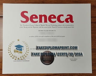 Seneca diploma.pdf