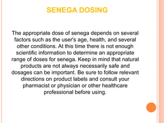 Senega | PPTX