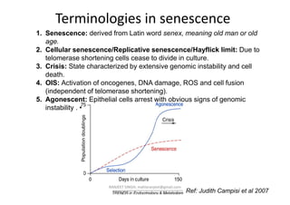 Senescence | PDF