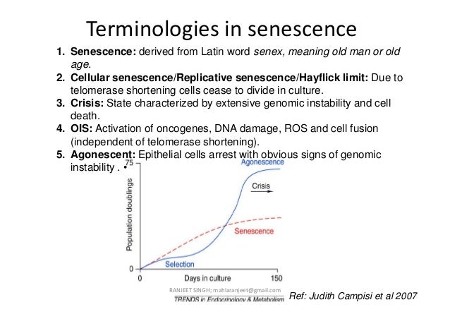 Raiz Latina Senex Definition