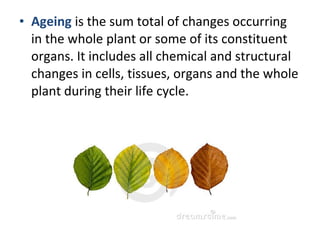 Senescence and aging plaphlec | PPT