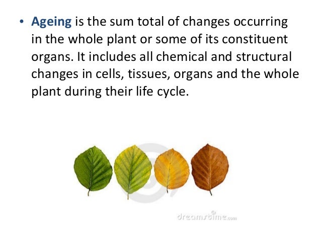 Senescence and aging plaphlec