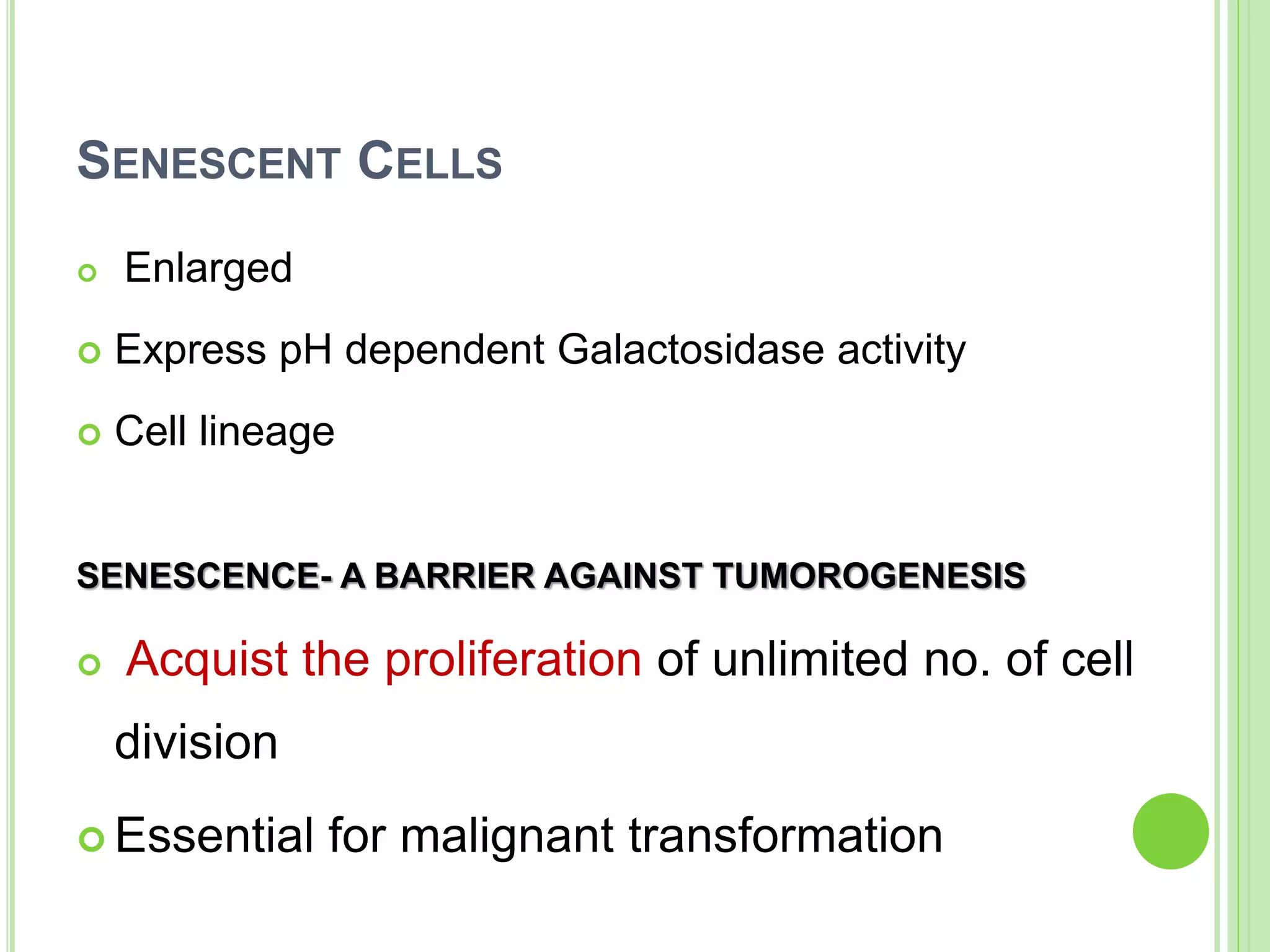 Senescence and immortalization | PPT