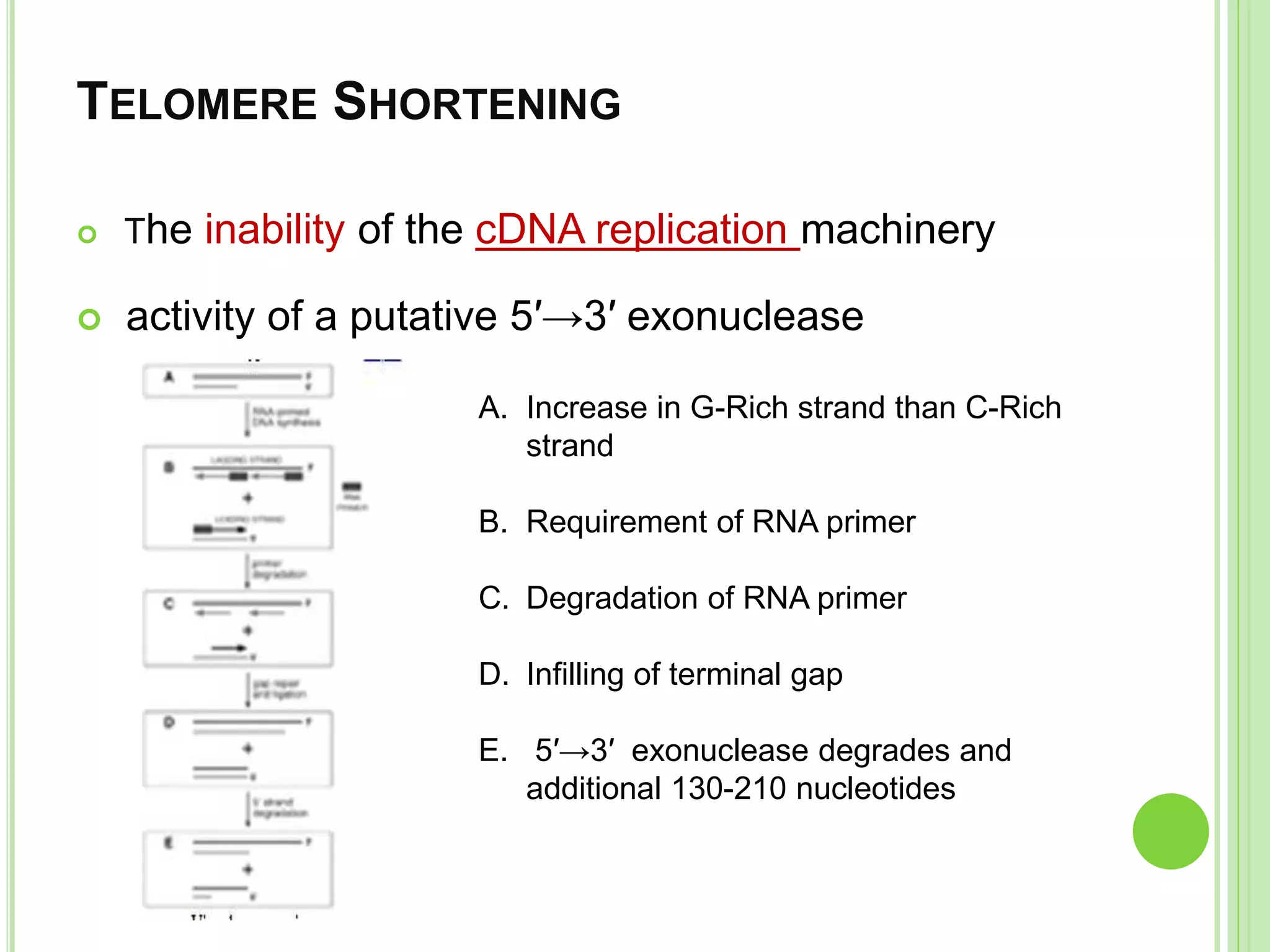 Senescence and immortalization | PPT