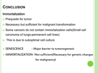 Senescence and immortalization | PPT