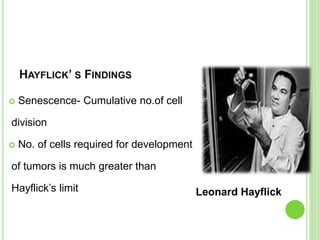 Senescence and immortalization | PPT