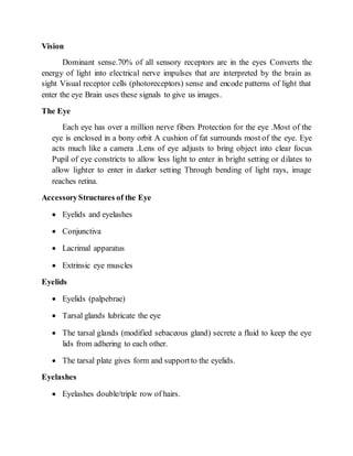 Senes of vision assignmnet | DOCX