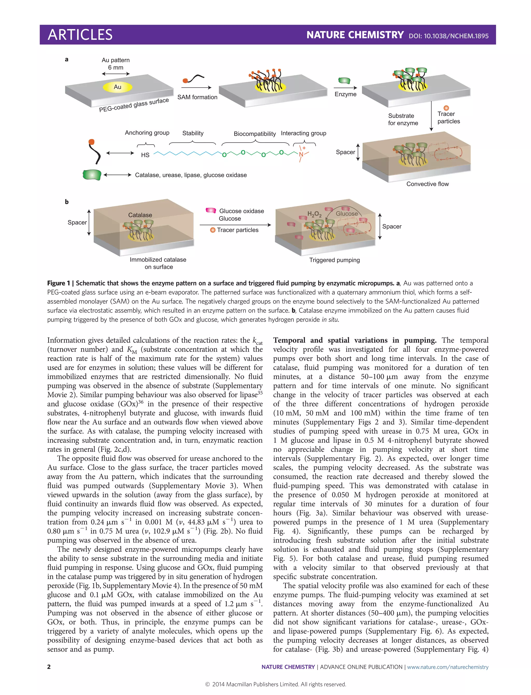 Sengupta et al 2014 self powered enzyme micropumps | PDF