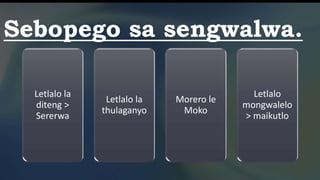 SENGWALWA[1] - Read-Only[1] final.pptx