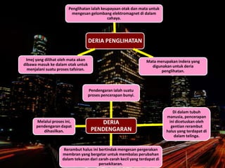 Seni dan deria | PPTX