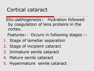 Stages Of Cortical Cataract _ Stages of cataracts explained – BBFAHC