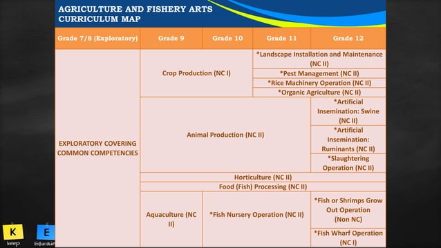 SENIOR HIGH SCHOOL.pptx strands track and other basic i formation | PPTX