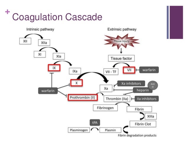 Management Of Emergent Warfarin Coagulopathy