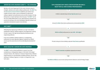 Senior Big Data Engineer Certification | PDF