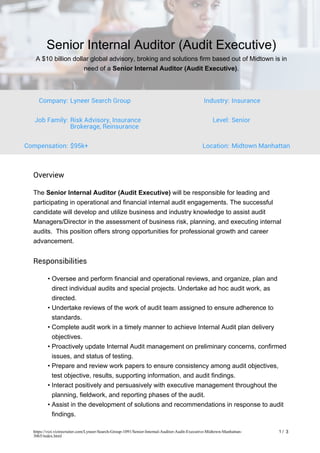 Senior Internal Auditor (Audit Executive) | PDF