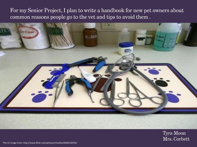 Senior Project Commitment Slide by Tyra Moon | PPT