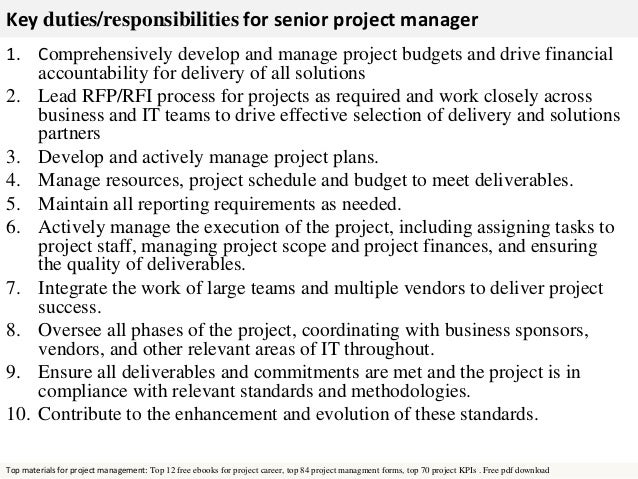 Senior project manager