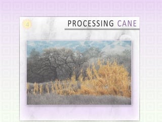 Senior project presentation | PPT