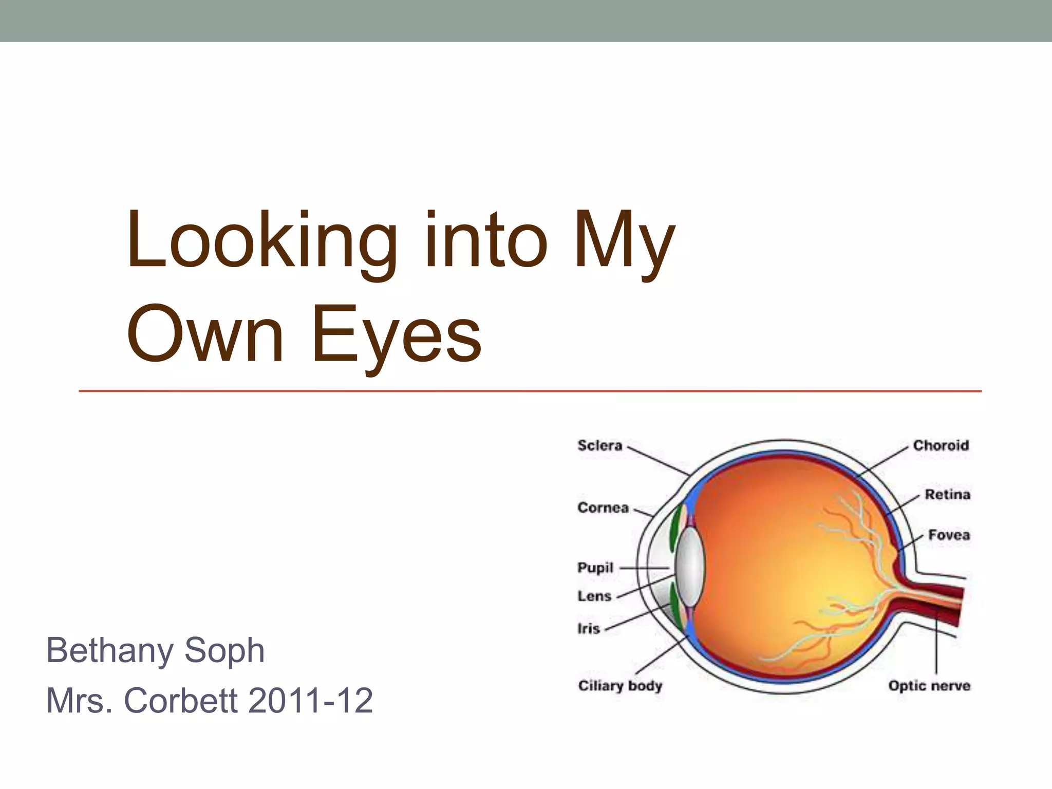 Senior Project Presentation | PPT