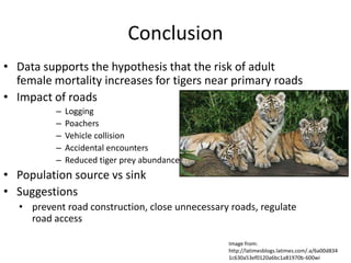 Roads and Habitat Disturbances | PPT