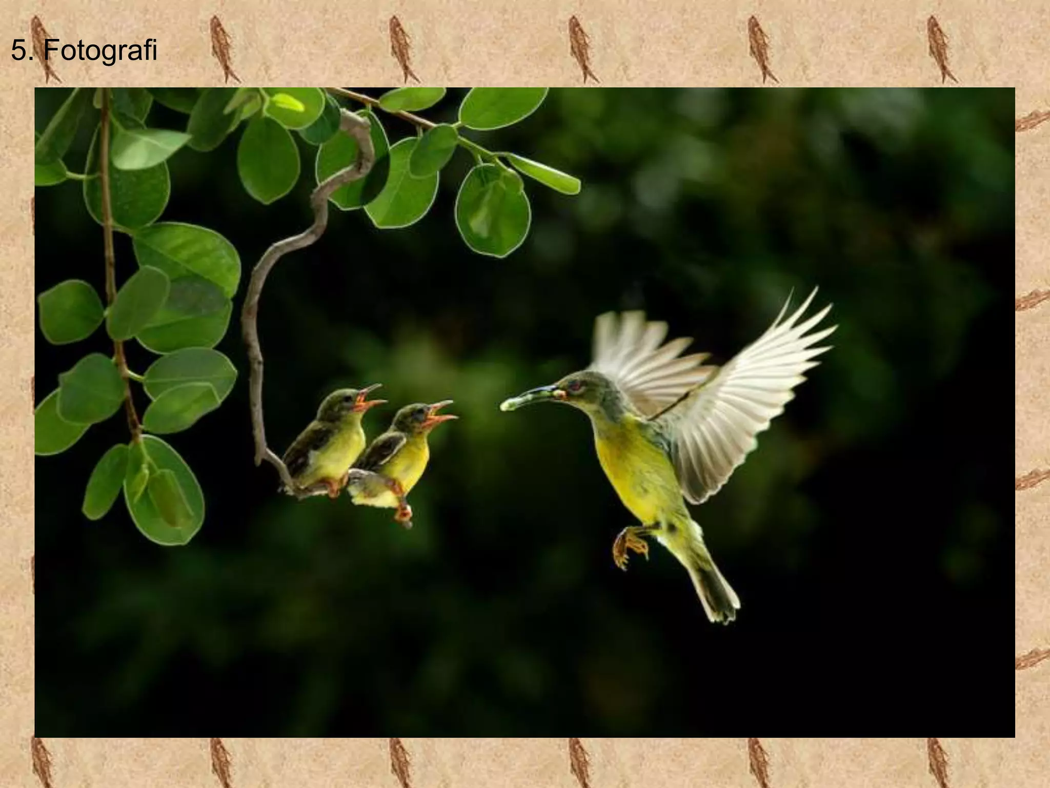 Seni rupa murni | PPTX