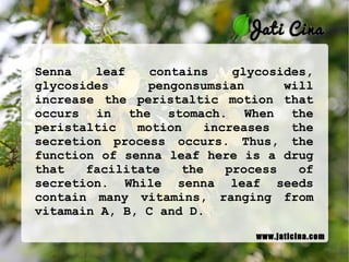 Senna Leaf Benefits | ODP