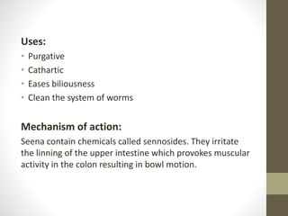 Cassia angustifolia (Senna) | PPTX