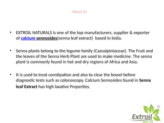 senna leaf extract manufacturer and supplier.pptx