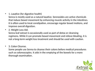 senna leaf extract manufacturer and supplier.pptx