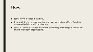 senna plant pharmacognosy in b. Pharmacy | PPTX