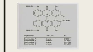 senna plant pharmacognosy in b. Pharmacy | PPTX