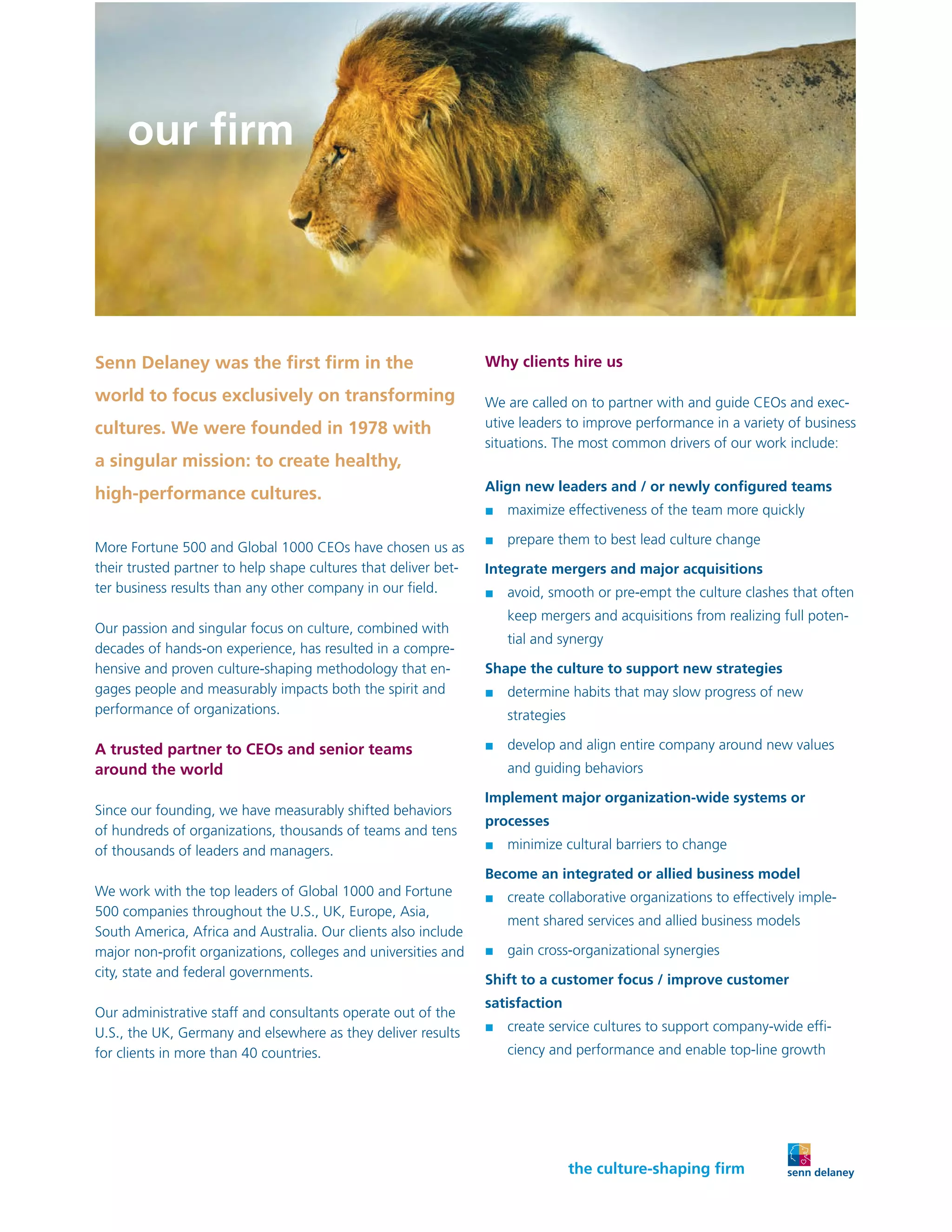 Senn delaneybrochure 2012 | PDF