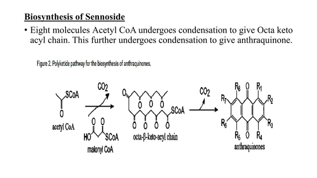Sennoside.pptx | Chemistry | Science