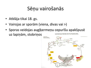 Sēņu vispārīgs raksturojums | PPT