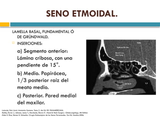 Anatomía SENO ETMOIDAL y generalidades.pptx