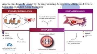 Senolytic Drugs | PDF