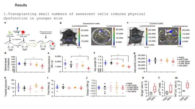 SEnolytics ppresentation.pptx on the drug discovery | PPTX | Biological ...