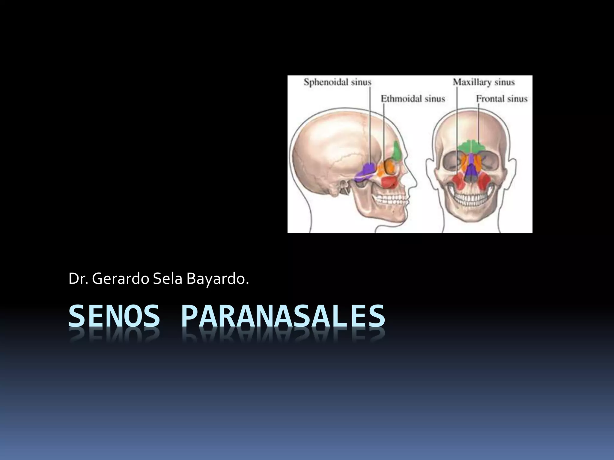 Senos paranasales | PPTX