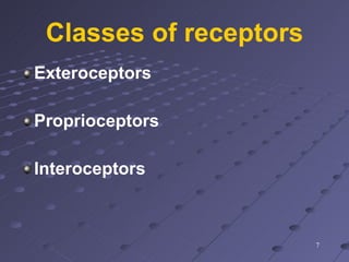 Sen recep bes | PPT | Computer Peripherals | Computing