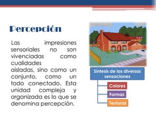 Sensación y percepción | PPTX