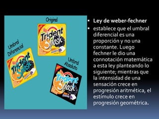Sensación y percepción | PPTX