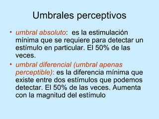 Sensacion y percepcion | PPT
