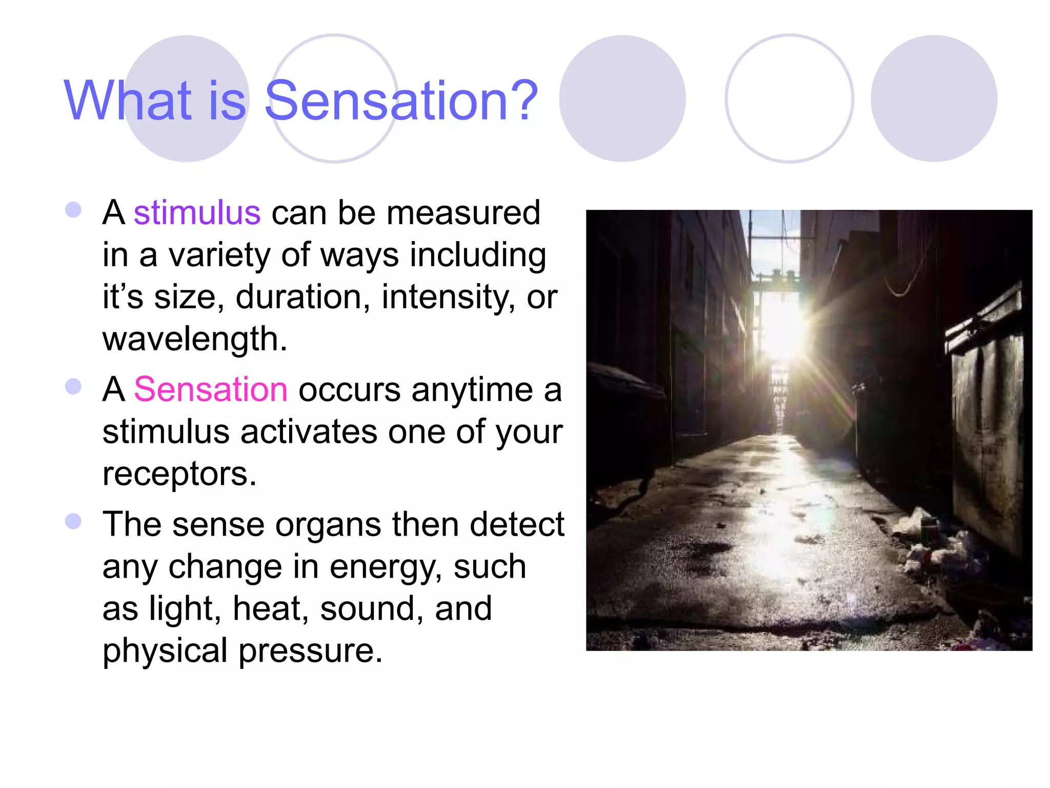 Sensation | PPT