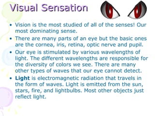 Sensation | PPT