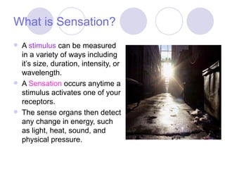 Sensation | PPT