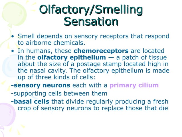 Sensation | PPT | Brain and Nervous System Disorders | Diseases and ...