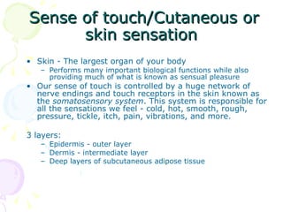 Sensation | PPT