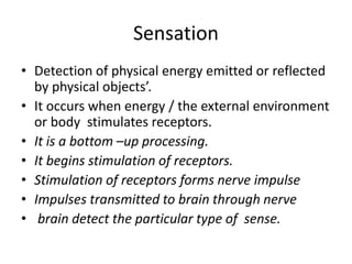 Sensation | PPT