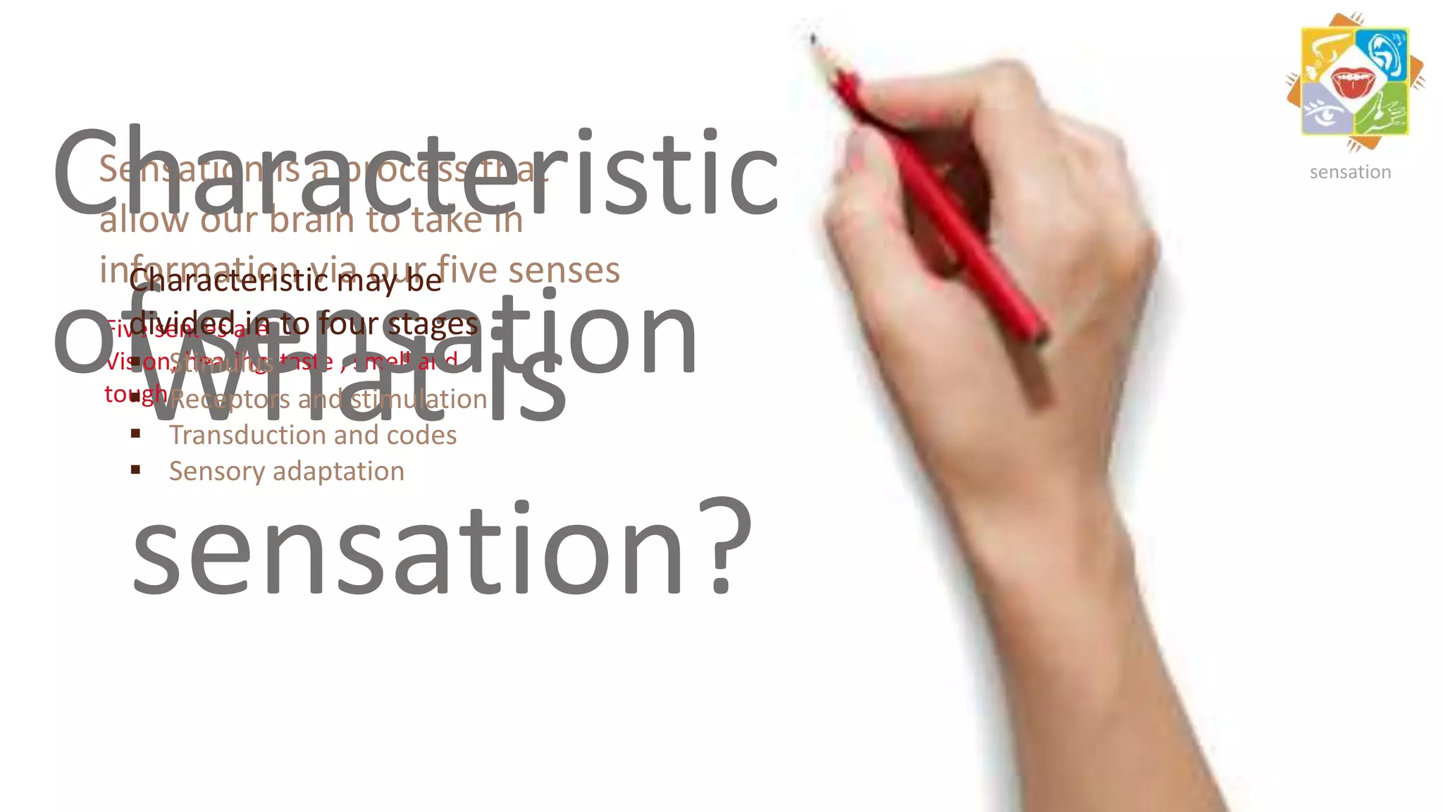 what is Sensation | PPTX