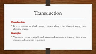 Sensation:Perception:Transduction:Adoptation And List of Psychological ...